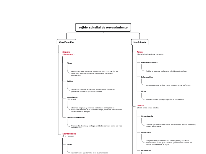 Sin título - Mind Map